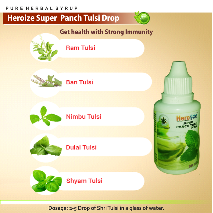 Heroize Marketing Pvt. Ltd.